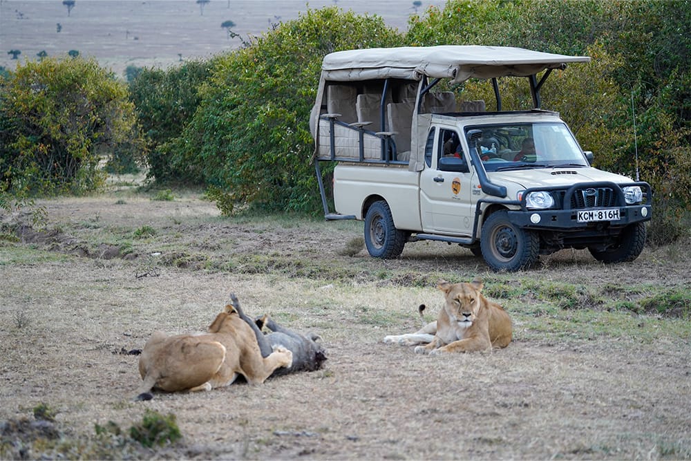 Porini Cheetah Camp Exclusive Safari In The Masai Mara