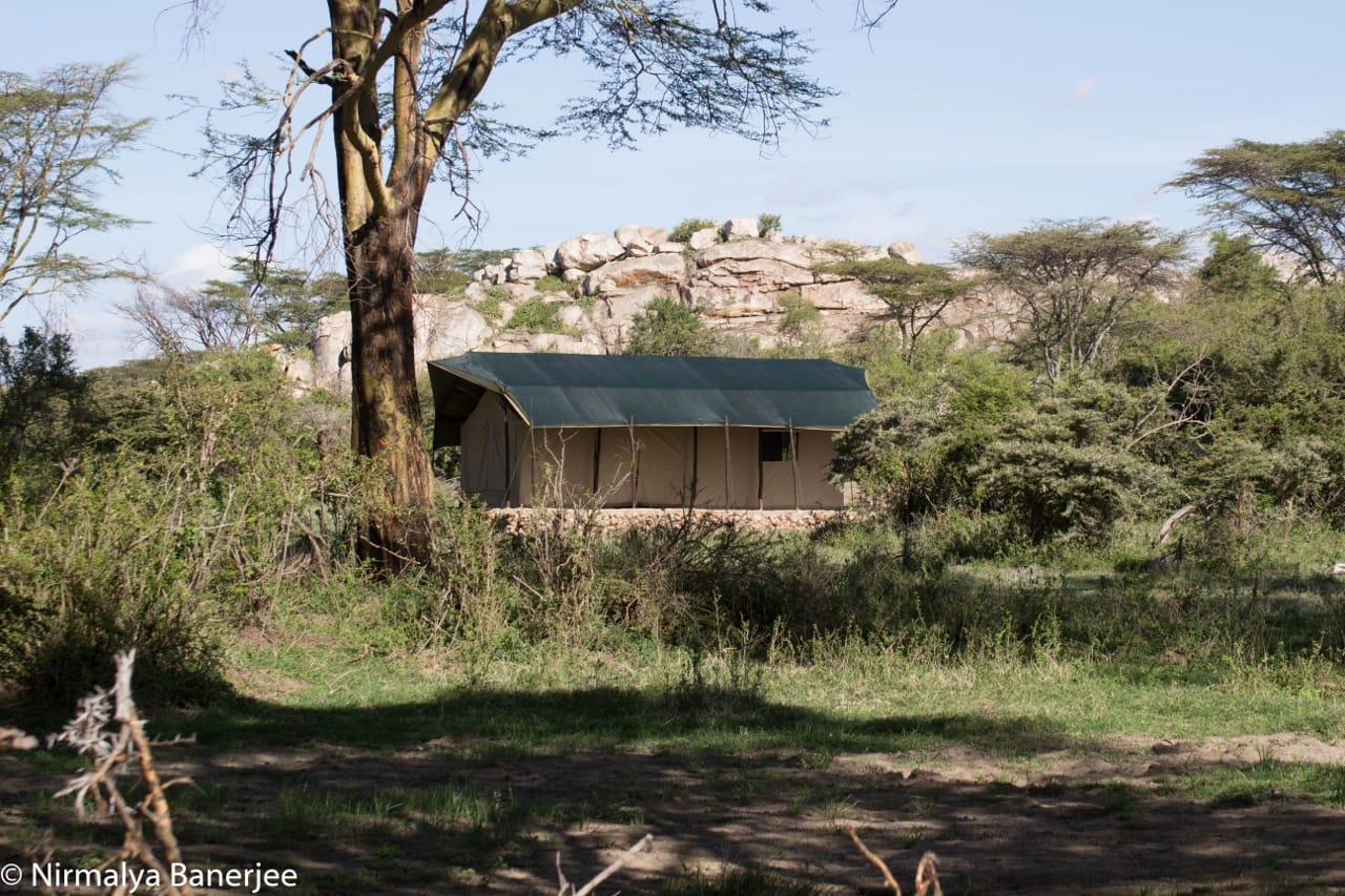 Porini Cheetah Camp