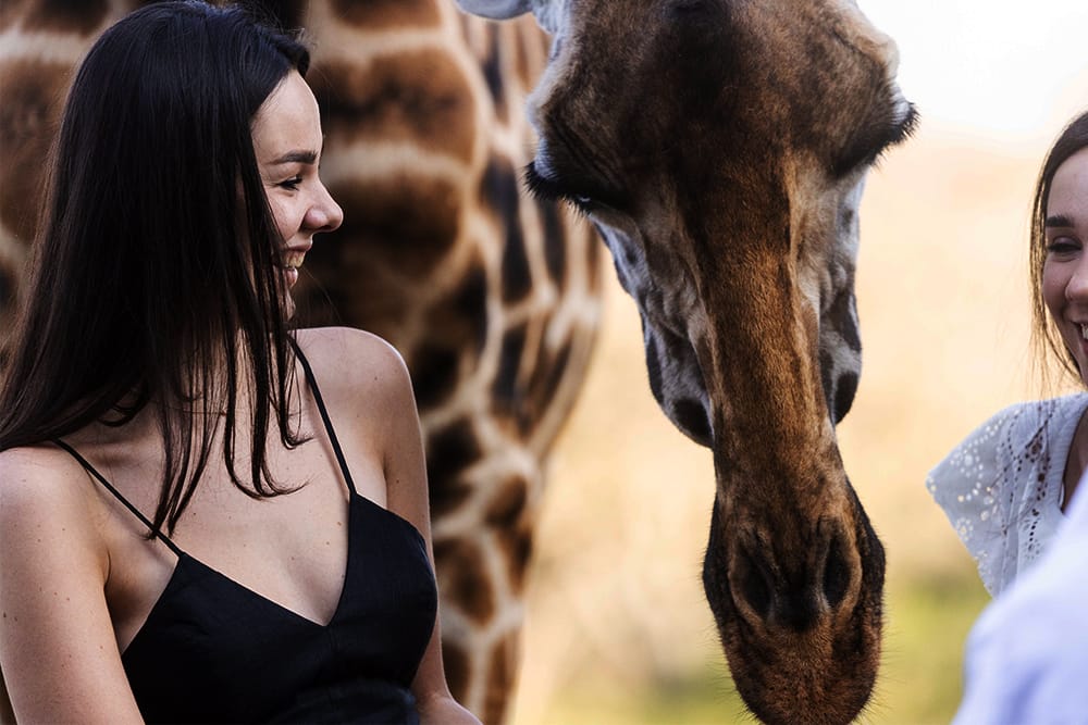 Magnificent Kenya | Gamewatchers