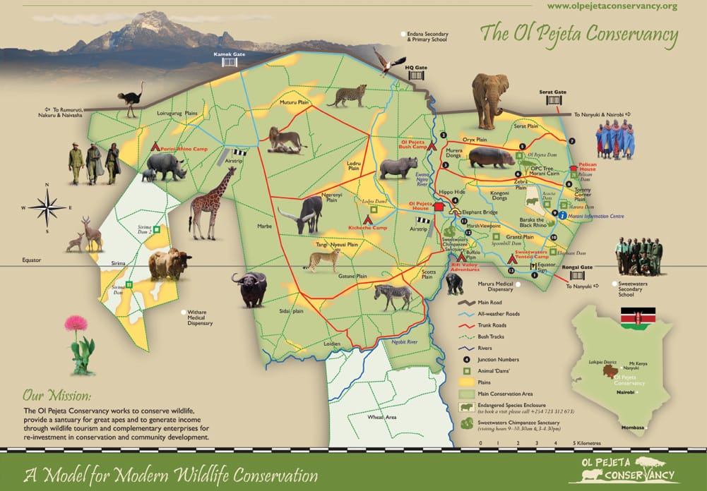 Porini Rhino Camp | Gamewatchers