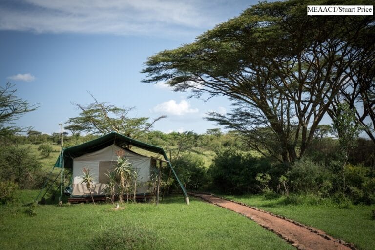 Porini Safari Camps: Reduced Rates for Safaris of 6 Nights or more