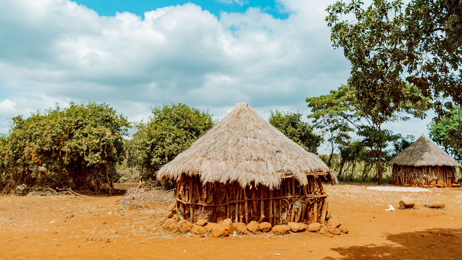 Lake Manyara National Park | Tanzania’s Scenic Safari Gem