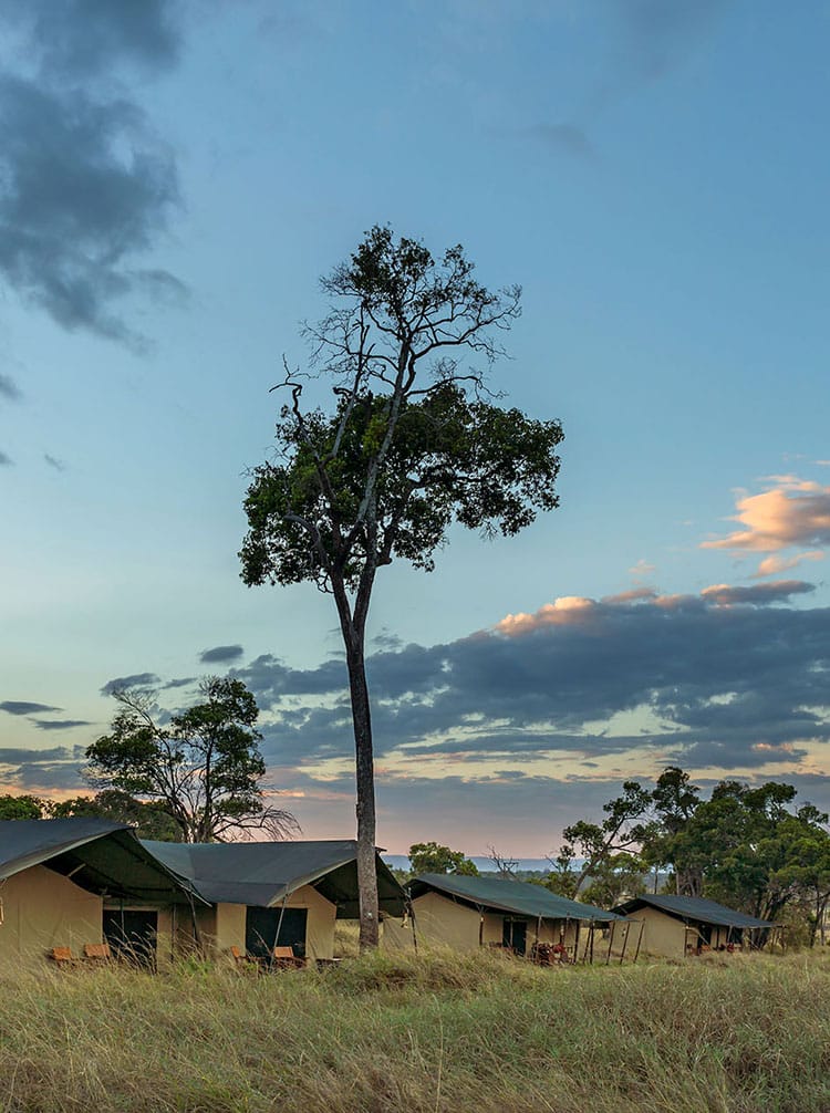 Lemala Mara Camp