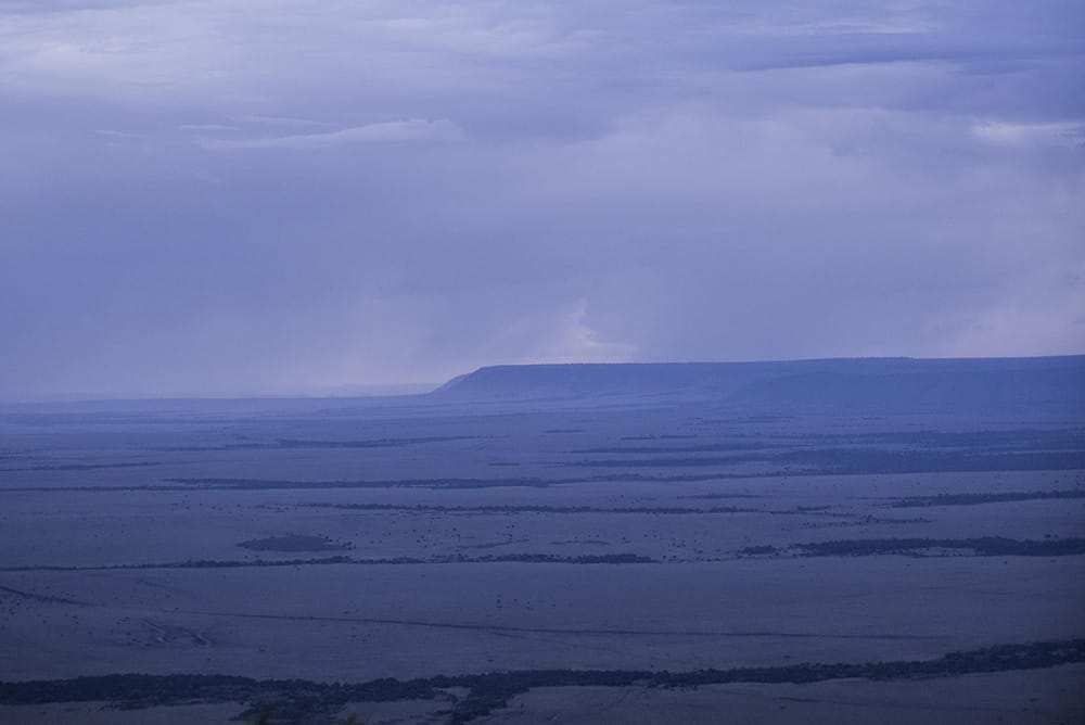 Mara Bush Houses