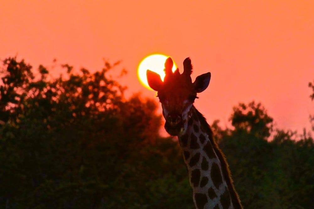 Mbweha Camp Lake Nakuru | Rustic Luxury in Great Rift Valley