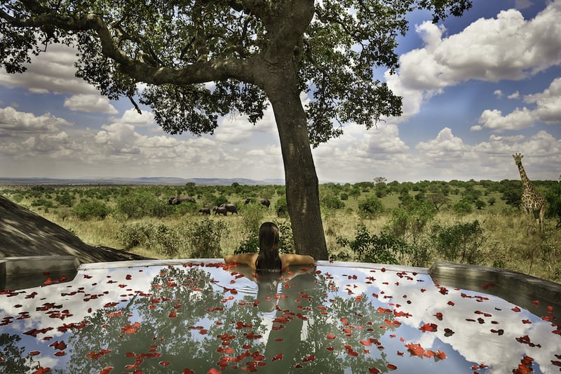 Nimali Mara Camp | Luxury Safari in Northern Serengeti