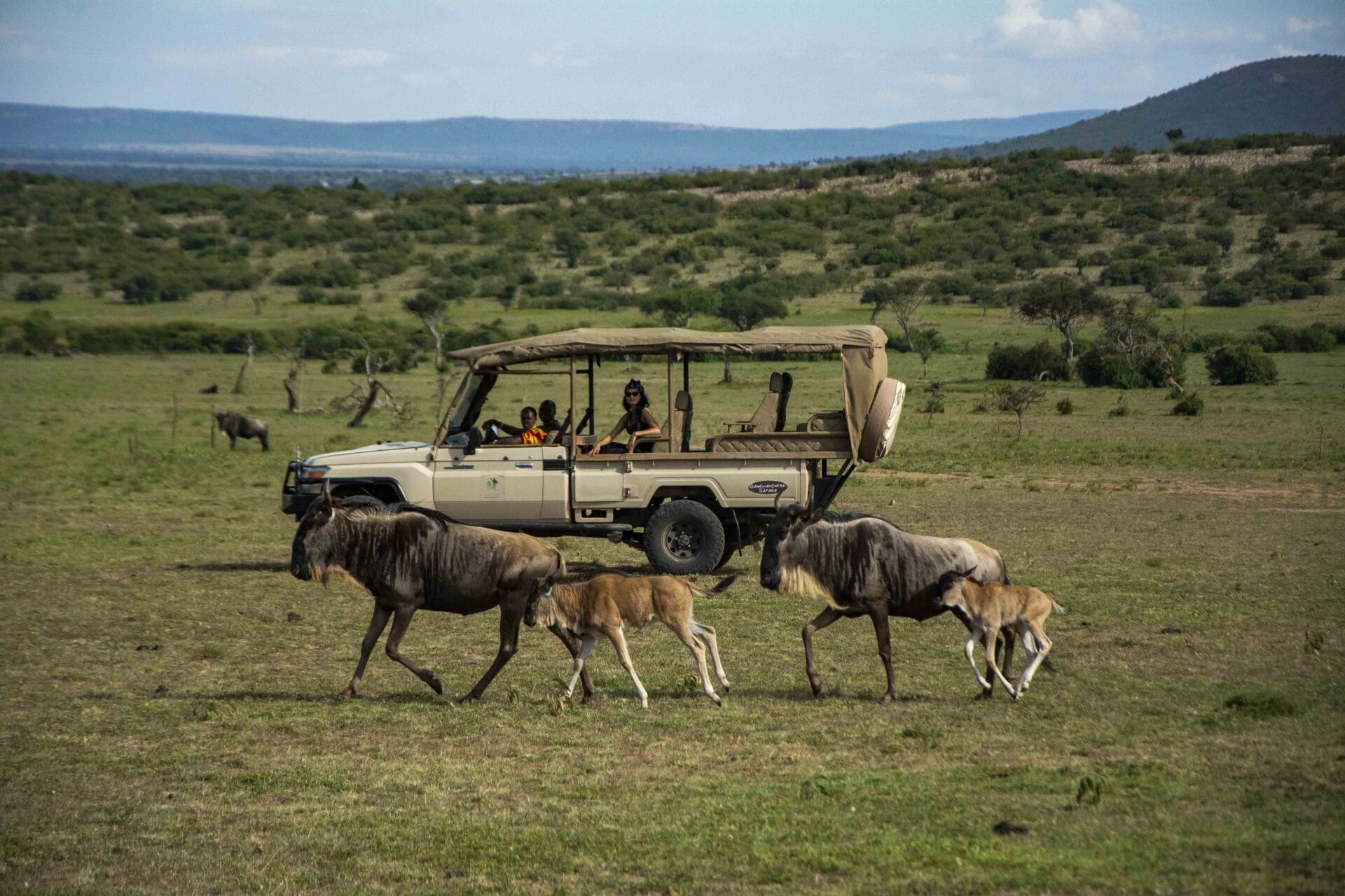 What animals will you see on a Porini safari in Kenya?